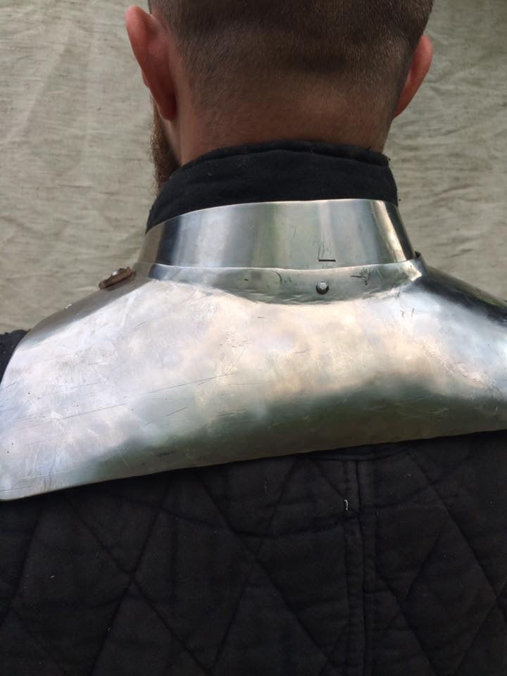 Plate Set for shoulders and neck – Master Uley